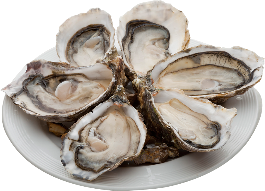 David Hervé Oysters at La Cagouille - La Cagouille